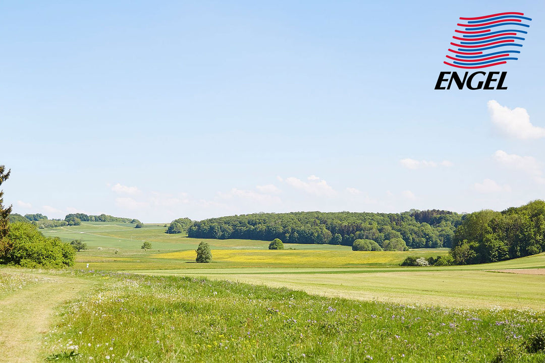 ENGEL — MAIDEN COMPANY